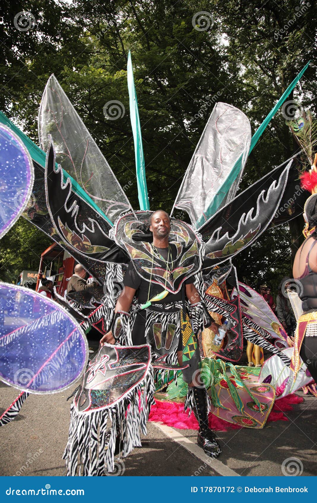 Man Dressed Up for the Carnival Editorial Photography - Image of indian ...