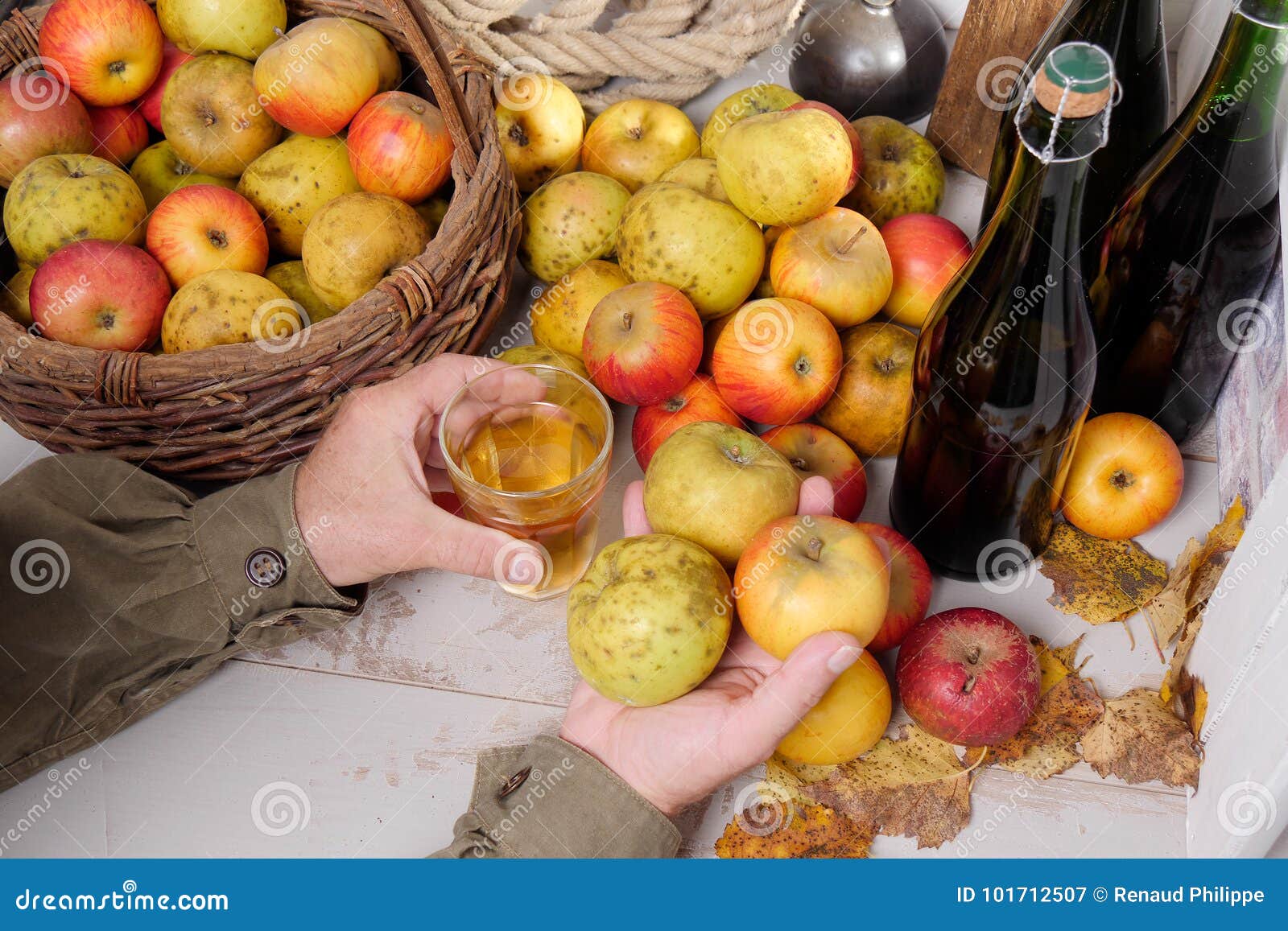 Man Drinking a Glass of Cider, Bottle and Organic Apples on the Stock ...
