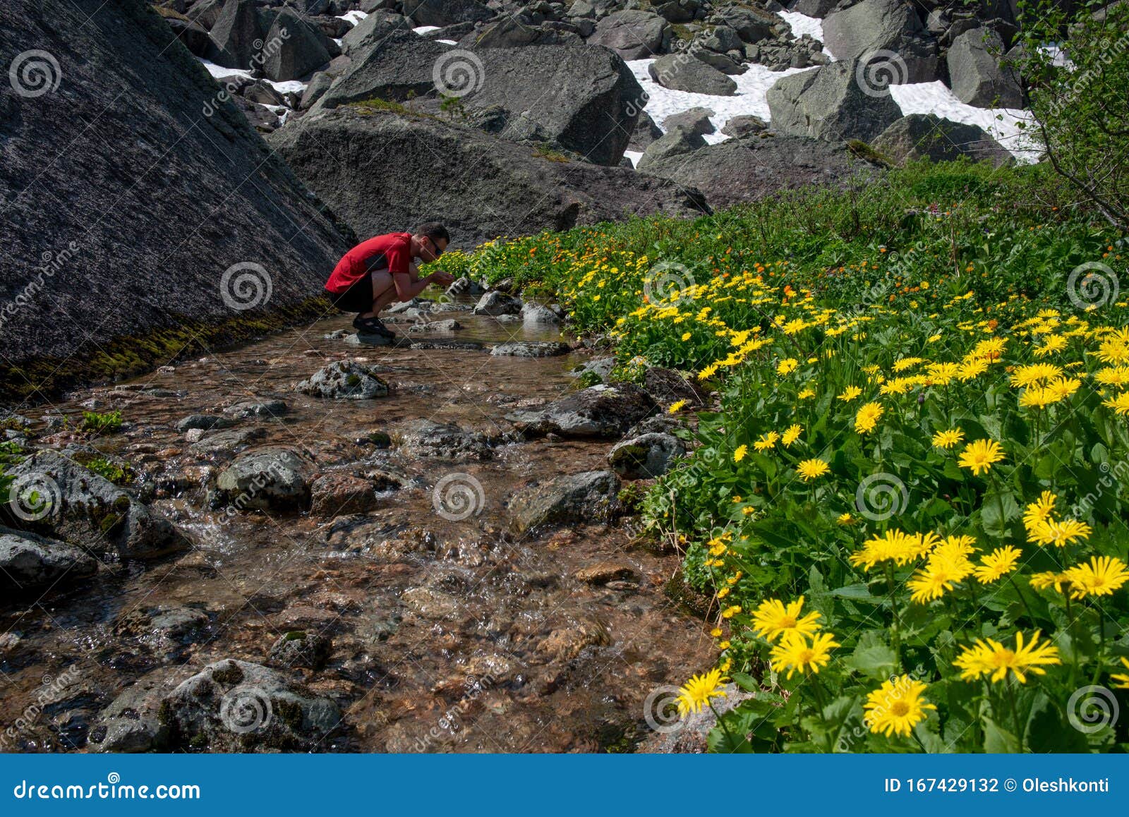 A Man Drinks Water from a Stream Stock Photo - Image of camping ...