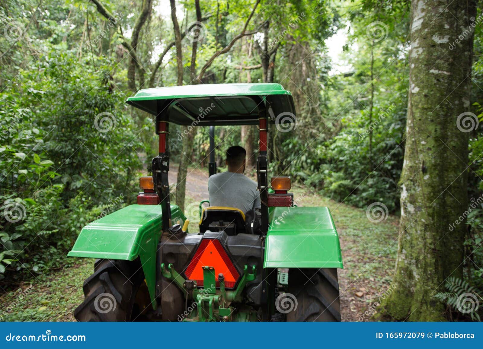Man Driving Tractor at Rainforest Stock Image - Image of climate ...