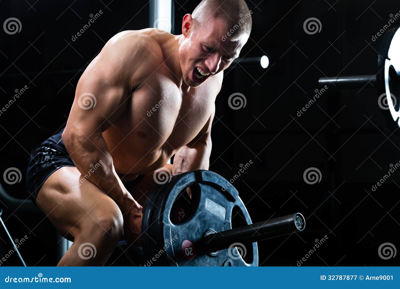 Man at Dumbbell Training in Gym Stock Image - Image of dumbbells, arms ...