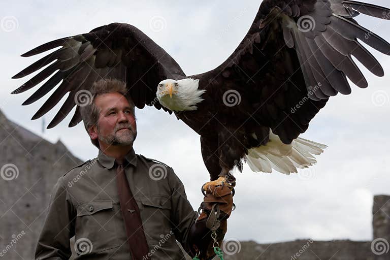 Man with eagle editorial photo. Image of noble, head - 20837556