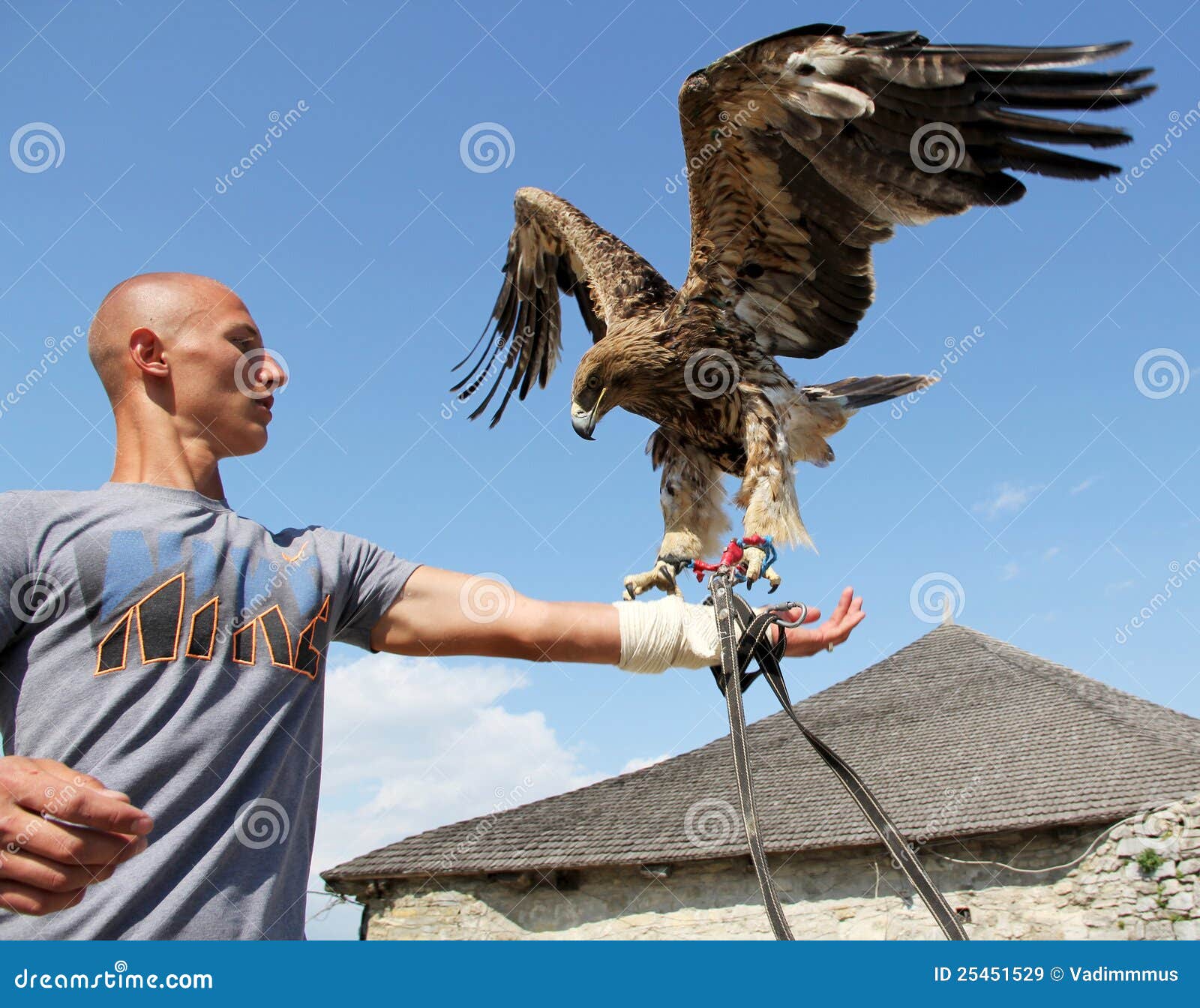 Man with eagle editorial stock image. Image of cloud - 25451529