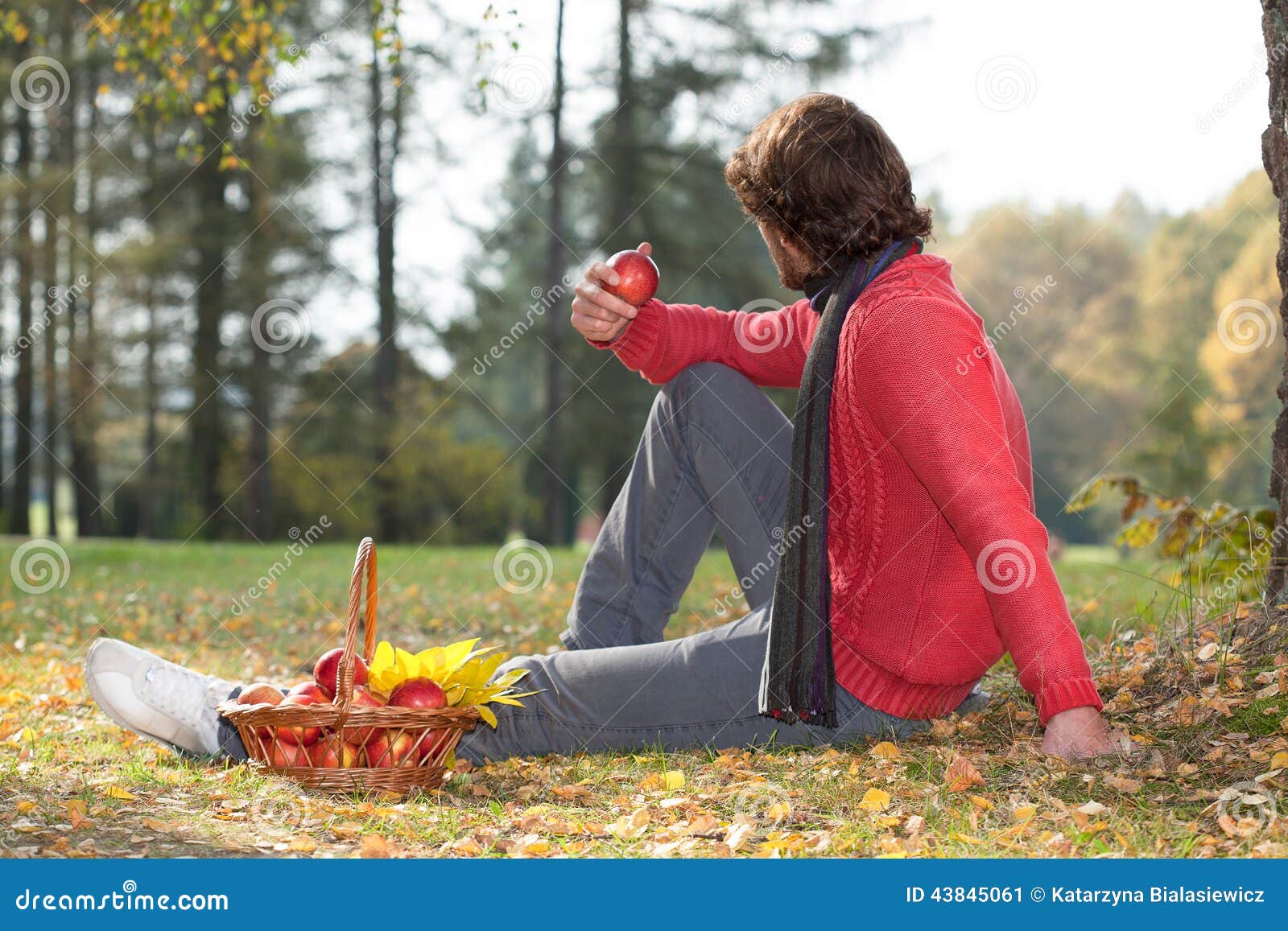 Man Eating Apple in the Park Stock Image - Image of basket, apple: 43845061