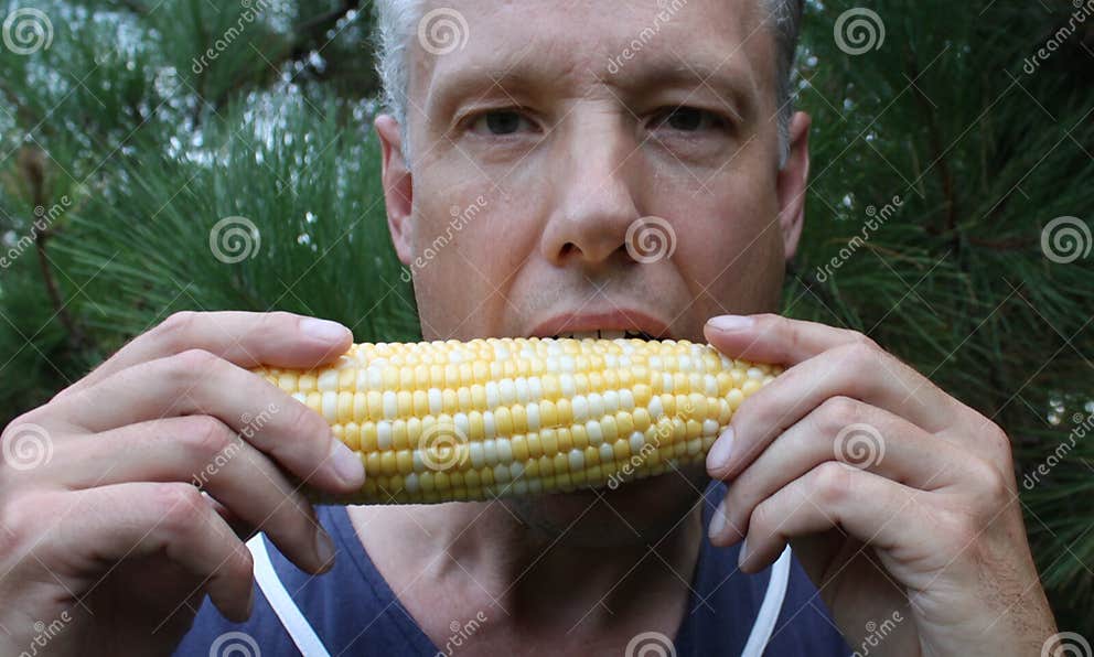 Man eating corn stock image. Image of green, corn, eating - 55356411