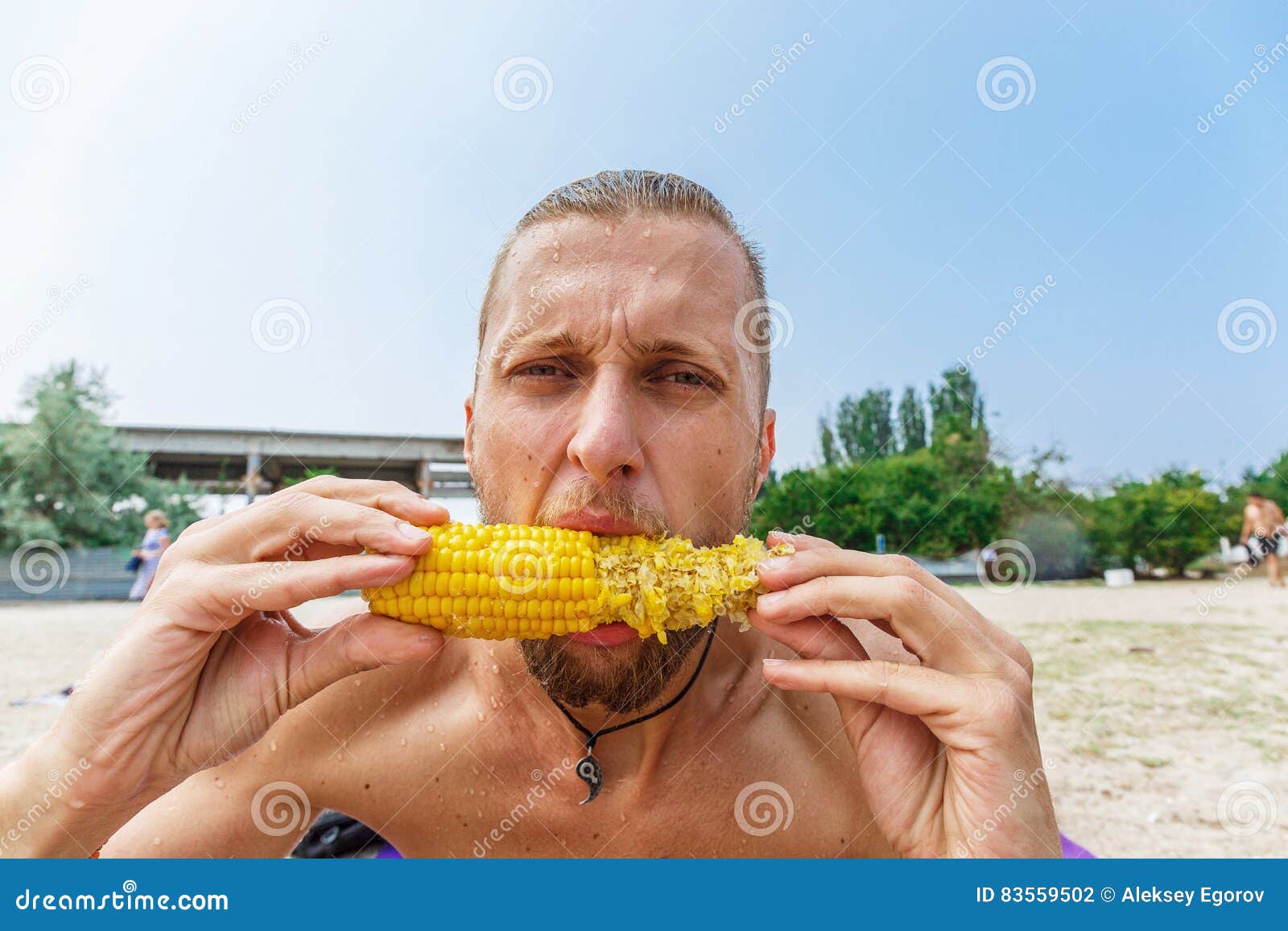 Man is eating corn stock photo. Image of horizontal, background - 83559502