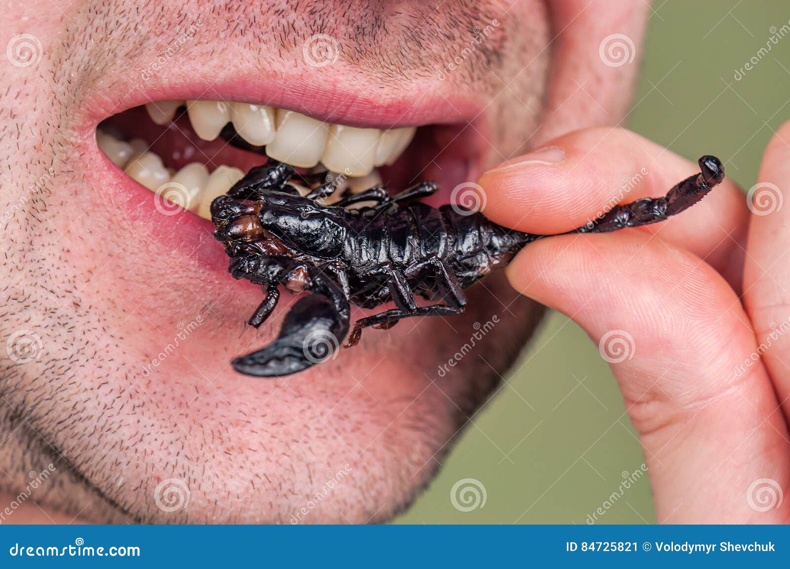 Man eating fried scorpion stock image. Image of animal - 84725821