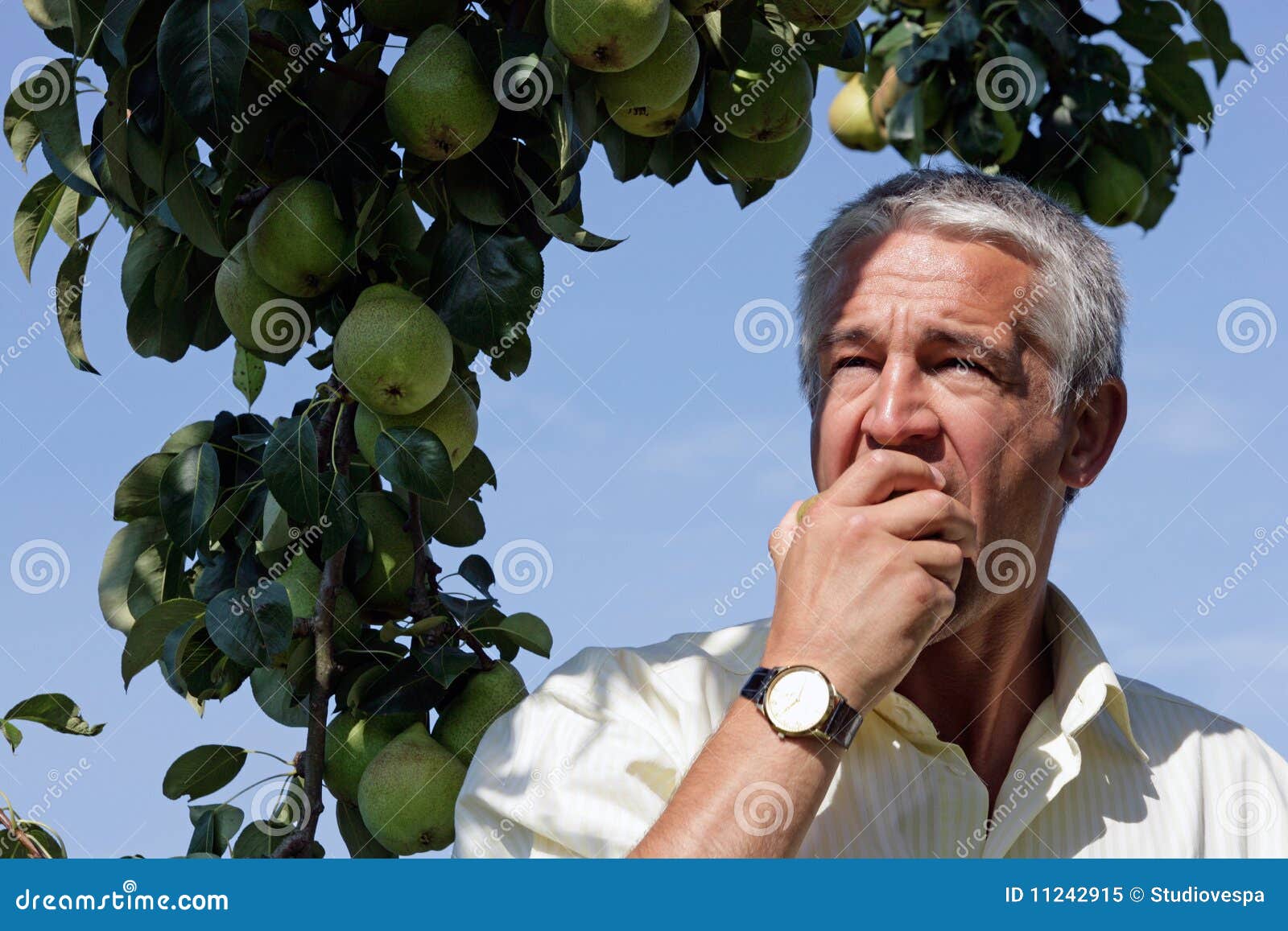 Man Eating Pear Royalty Free Stock Photo - Image: 11242915