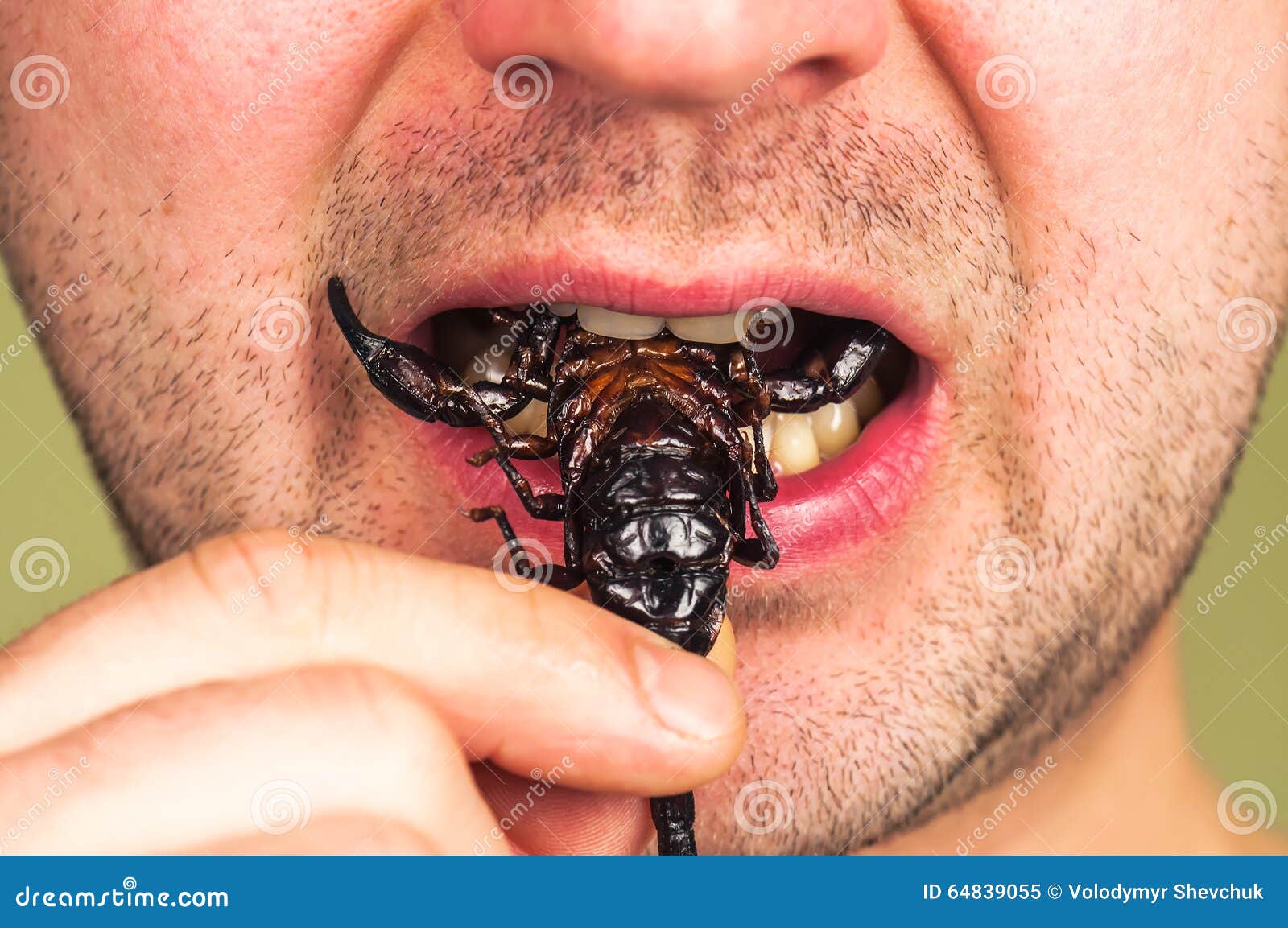 Man eats a scorpion stock image. Image of larva, meal - 64839055