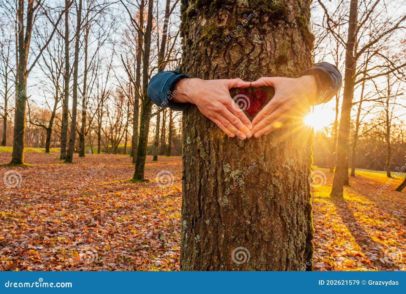 Man Embracing a Tree with Shape of Heart Stock Image - Image of ...