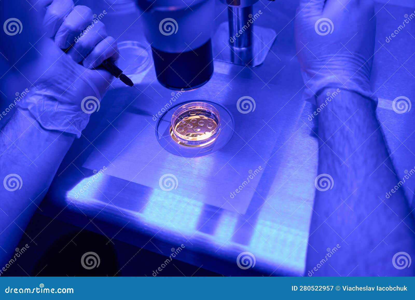 Man Embryologist Removing One Cell from a Developing Embryo Stock Image ...
