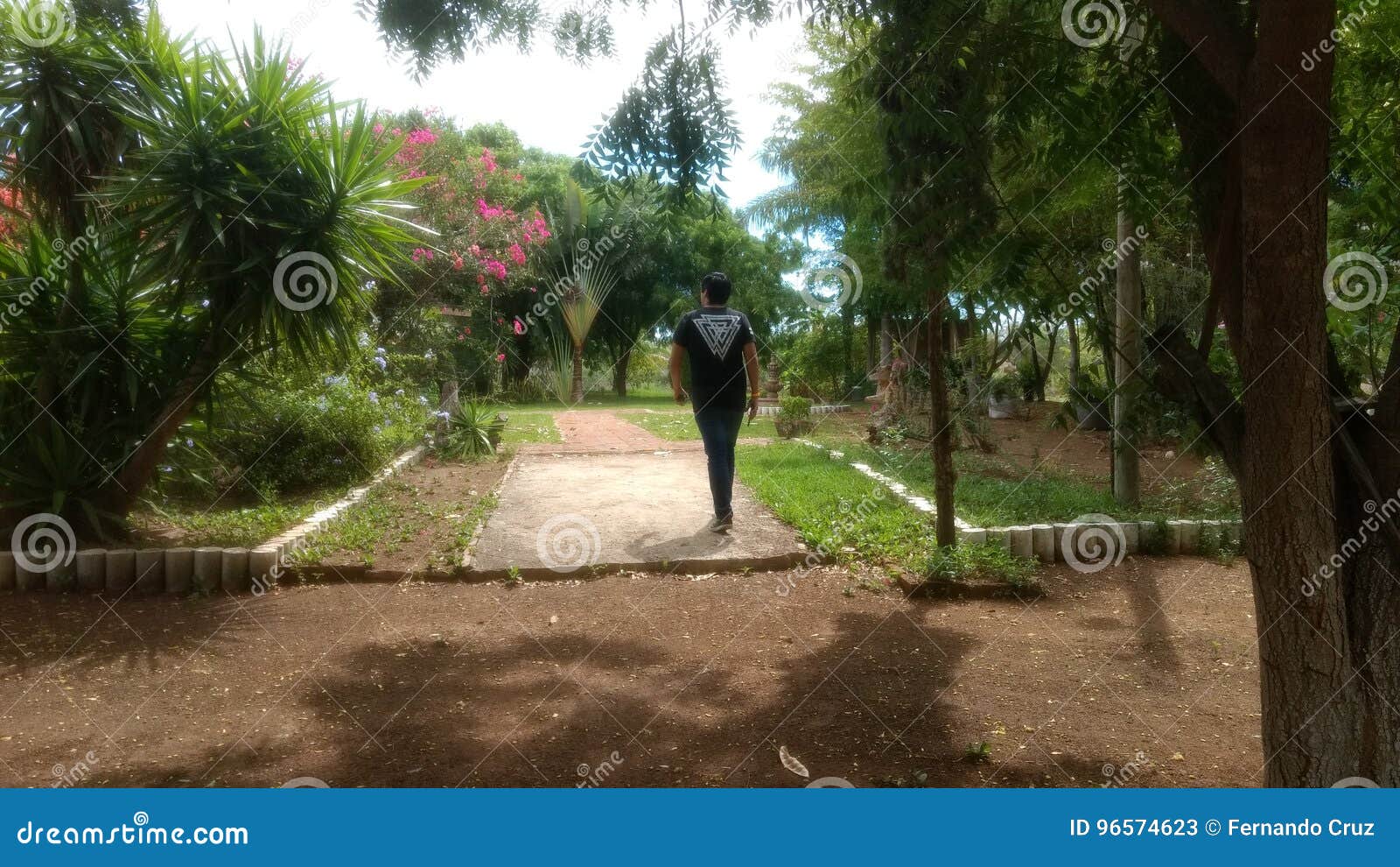 The man in emerald. editorial stock photo. Image of hombre - 96574623