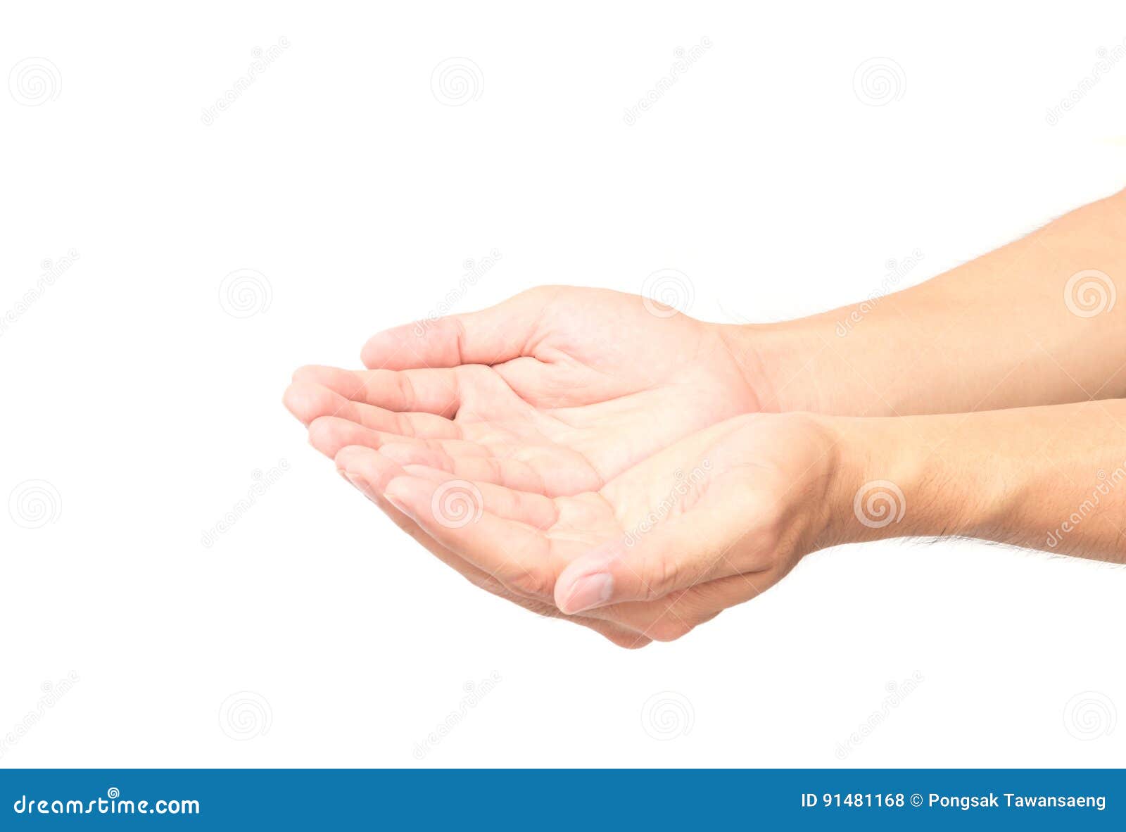 Man Empty Hands Open on White Background Stock Photo - Image of male ...