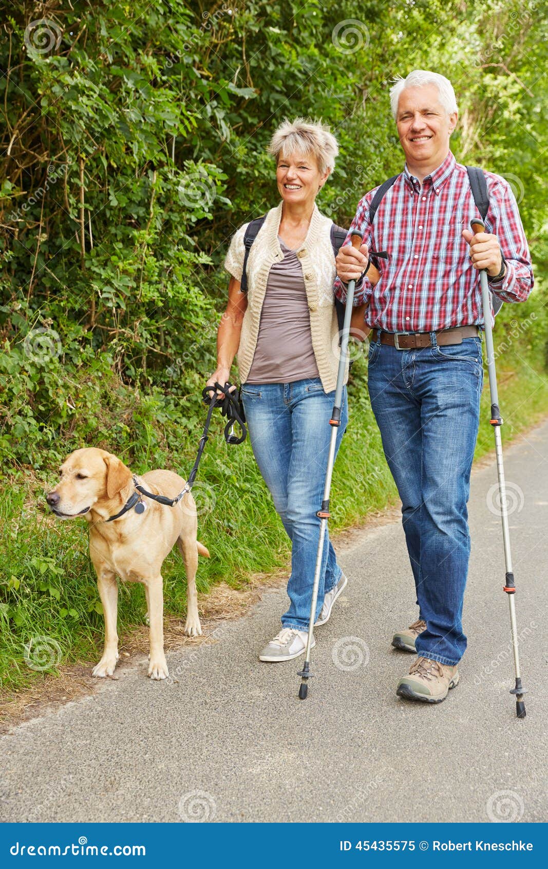 Man En Vrouw Die Met Hond Lopen Stock Afbeelding - Image of terugwinnen ...