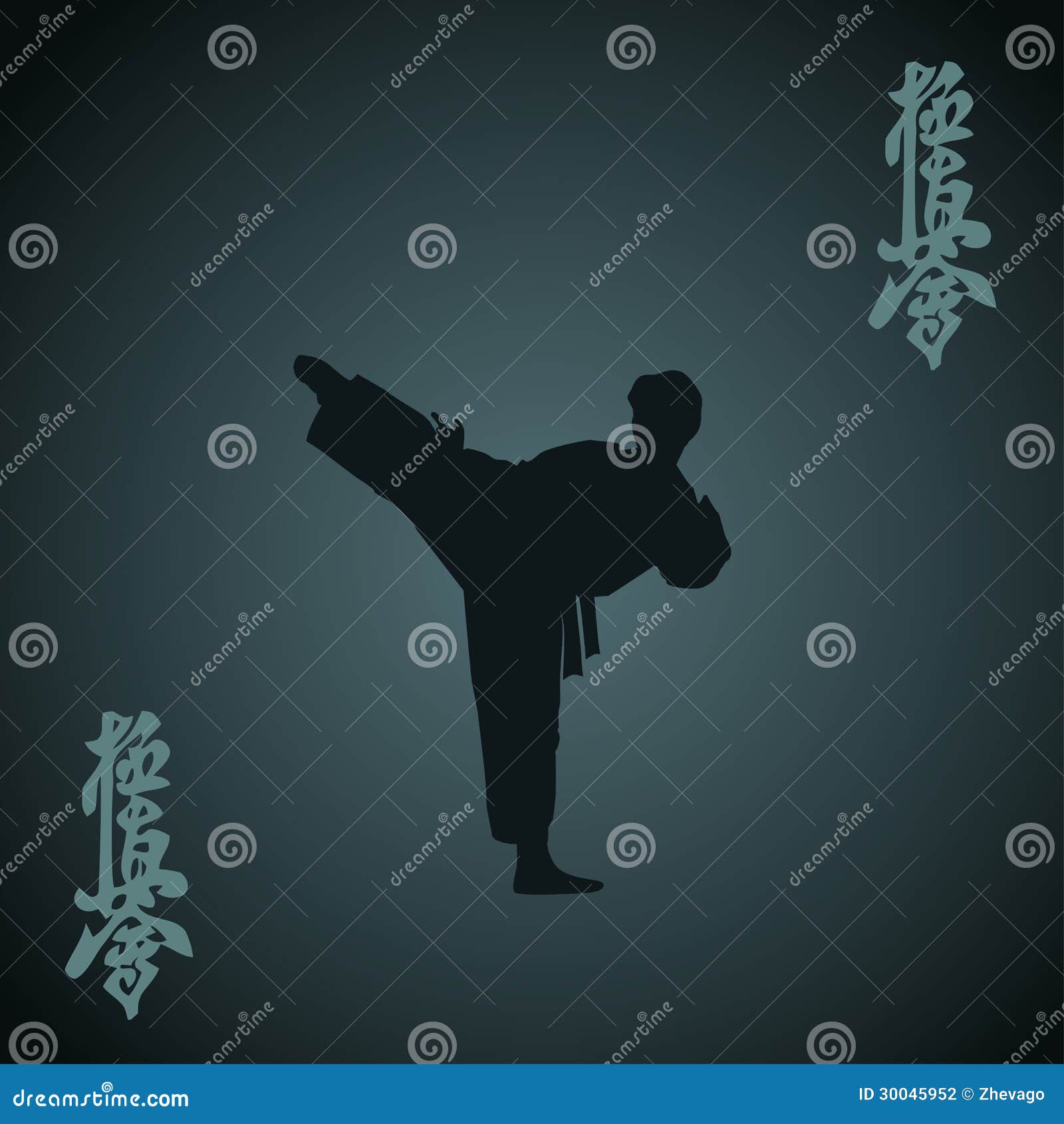 Karate stock vector. Illustration of healthy, japan, color - 30045952