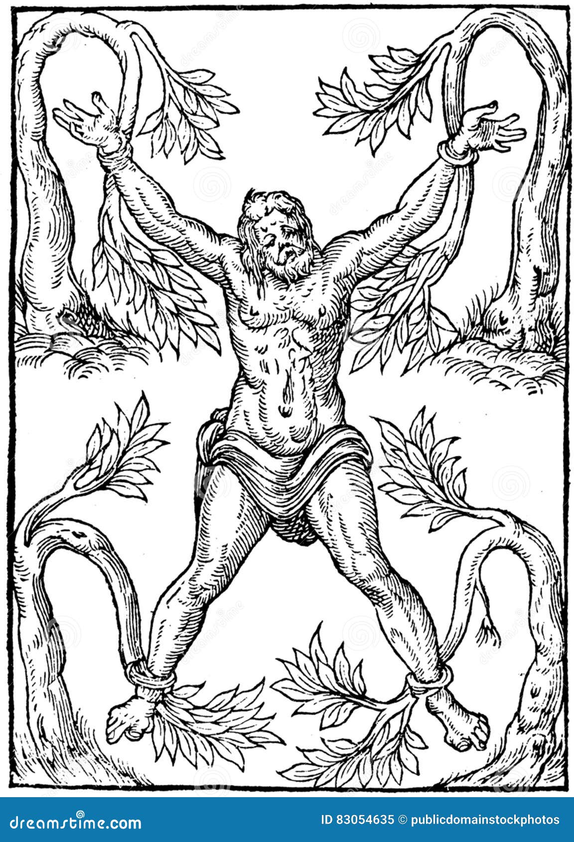 Man Entangled In Trees Picture. Image: 83054635