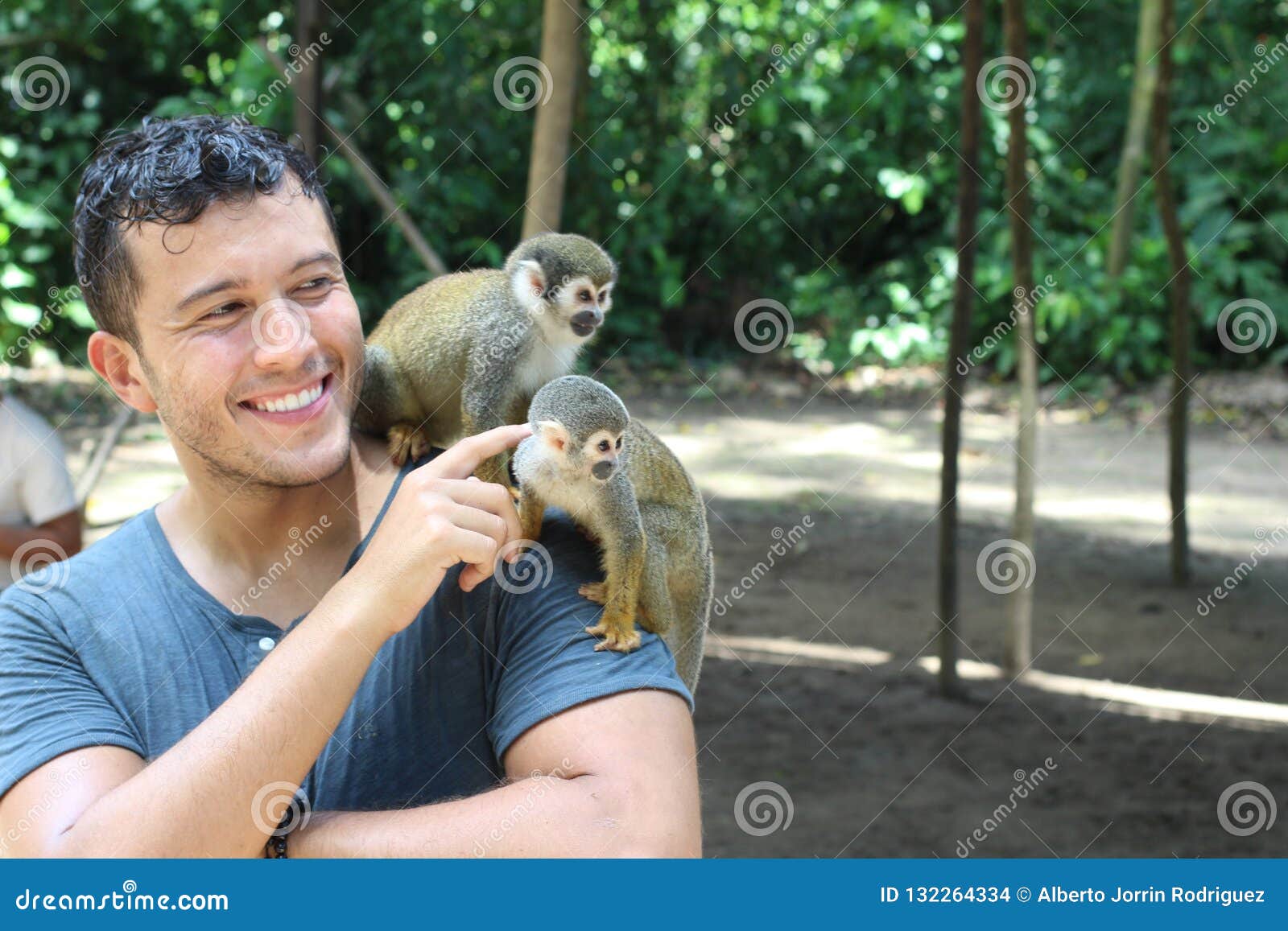 Man Establishing Contact with Wild Monkeys Stock Photo - Image of ...