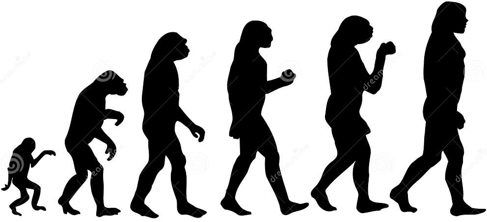 Man Evolution Cartoon Vector Clipart Stock Vector - Illustration of ...