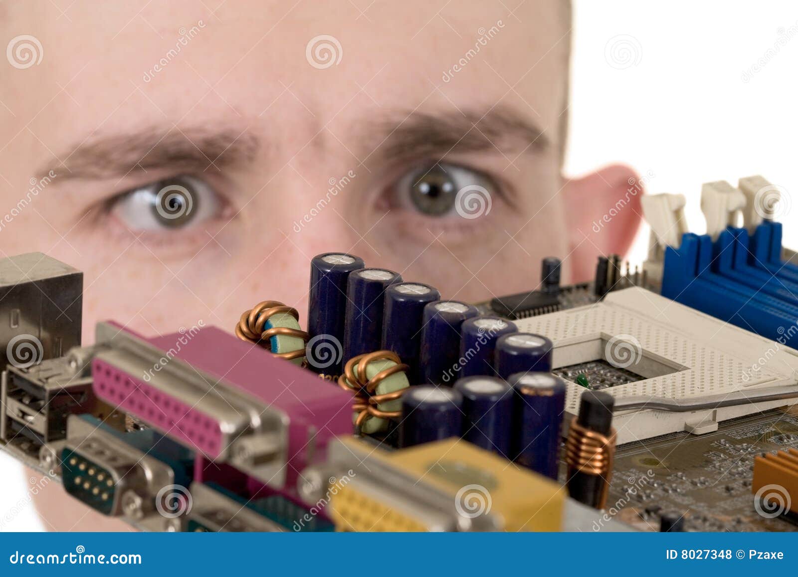 Man Examines an Electronic Circuit Stock Photo - Image of back, white ...