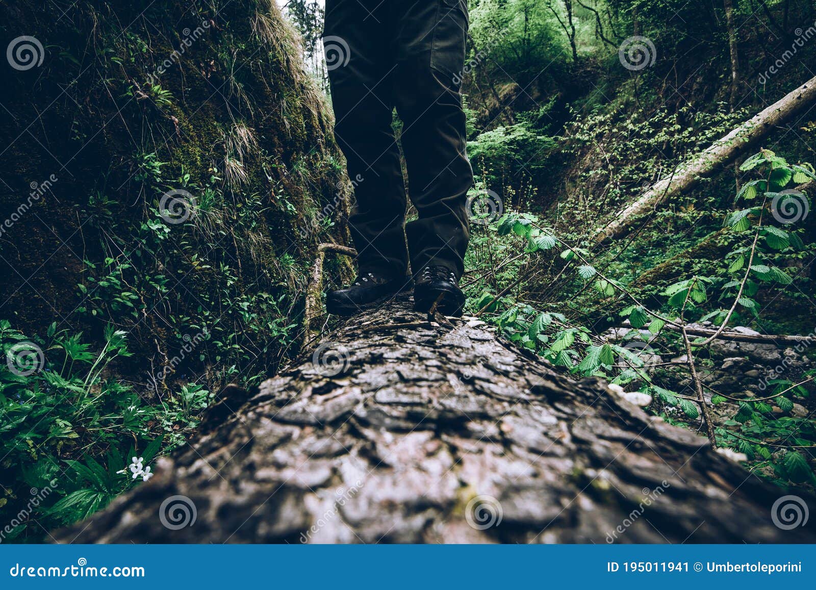 Man Explore the Wild Little Valley Stock Image - Image of wander ...