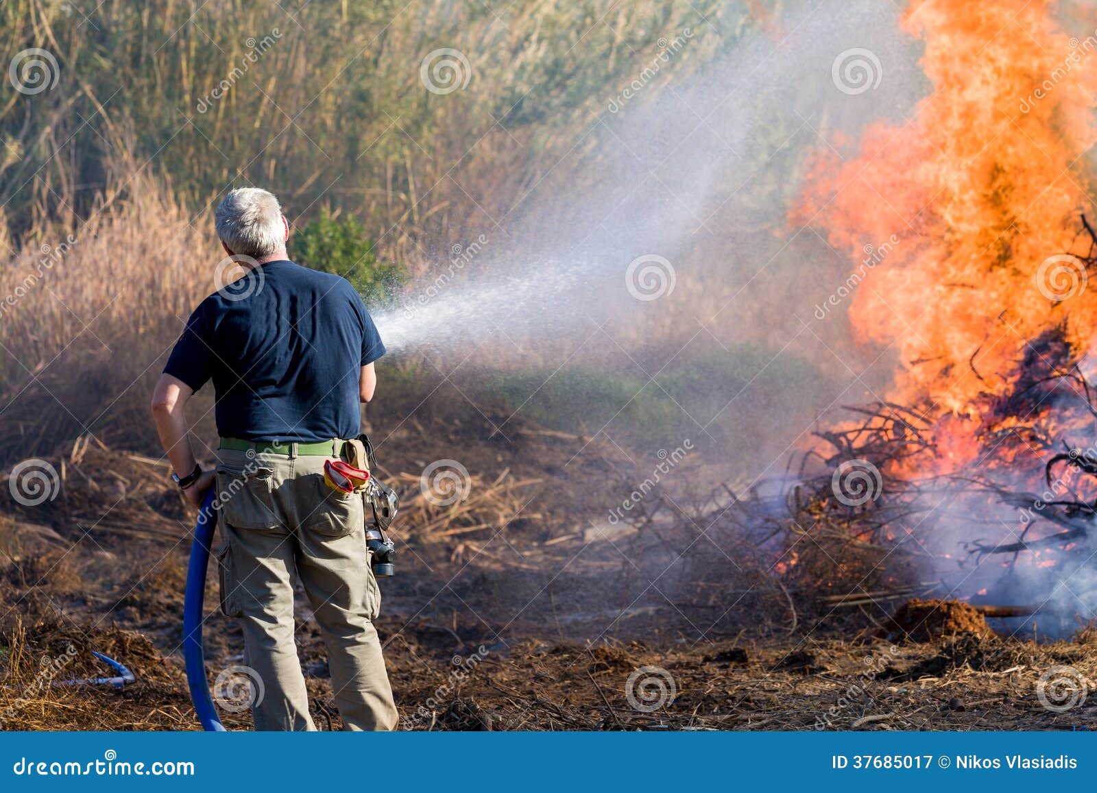 Firefighter Dousing House Fire Royalty-Free Stock Image | CartoonDealer ...