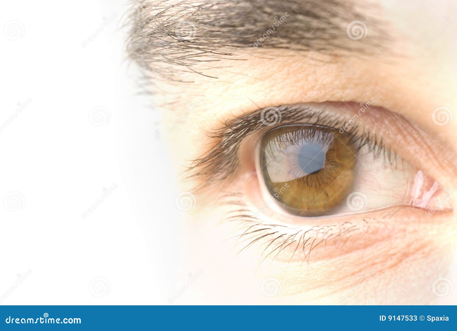 Man eye stock image. Image of shinning, look, sight, close - 9147533