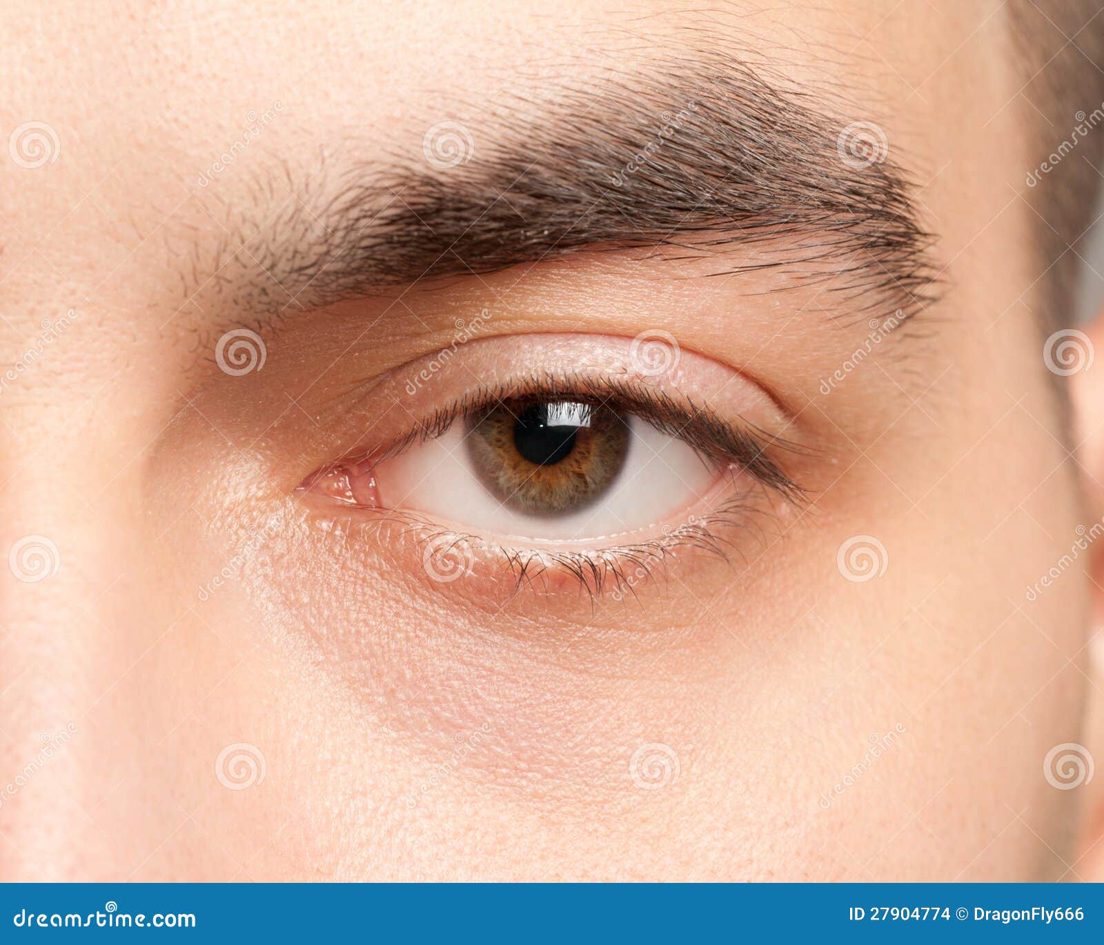Man eye closeup stock photo. Image of look, male, face - 27904774