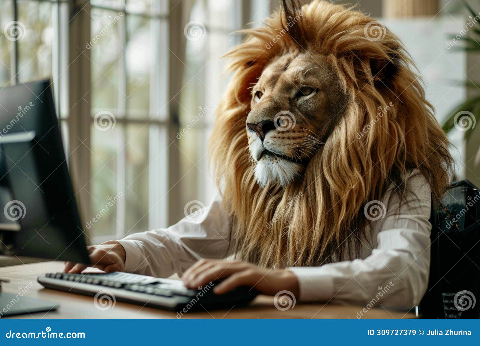 The Man with the Face of a Lion Works at Home on the Computer Stock ...
