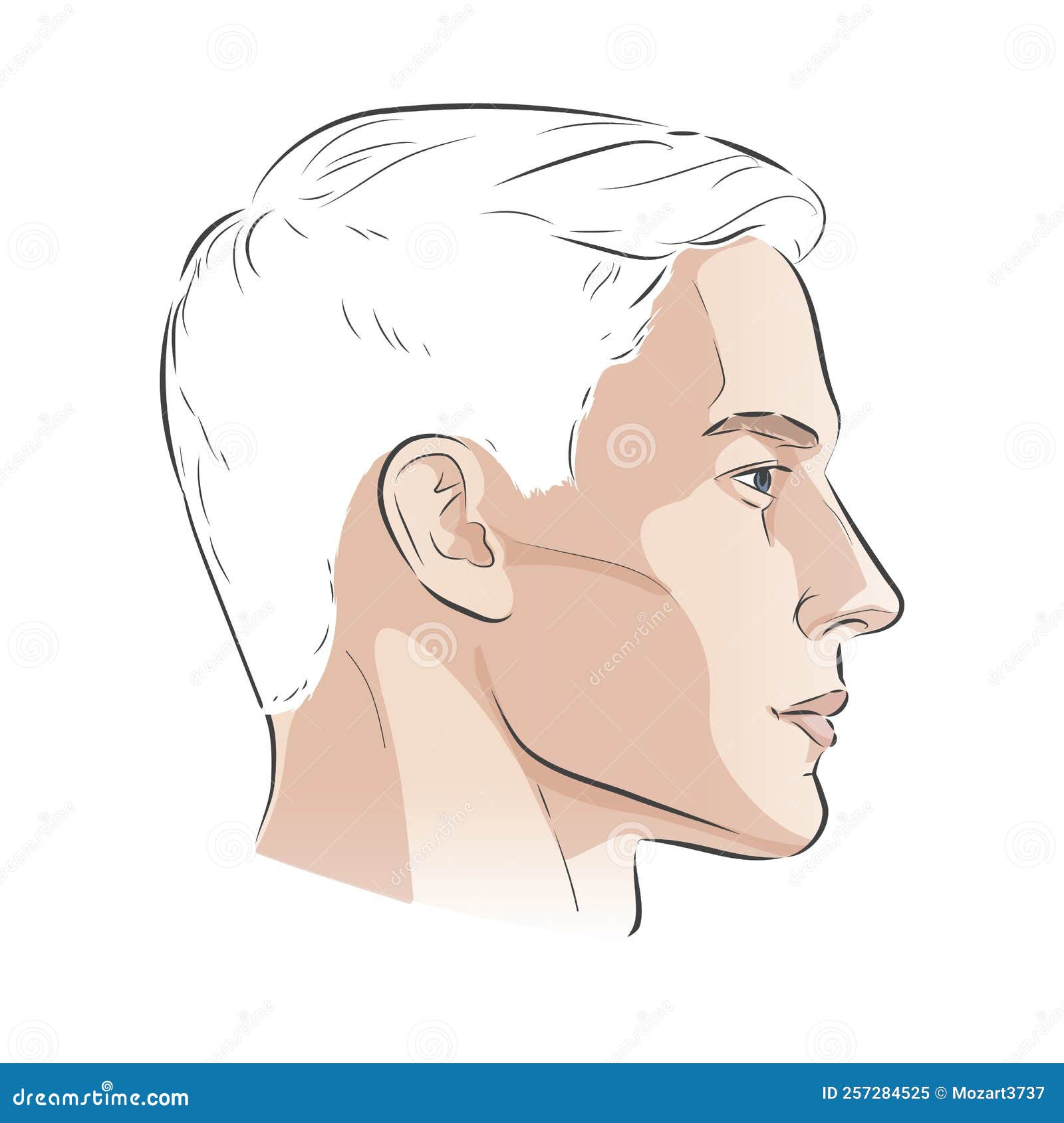 How To Draw Male Face Side View