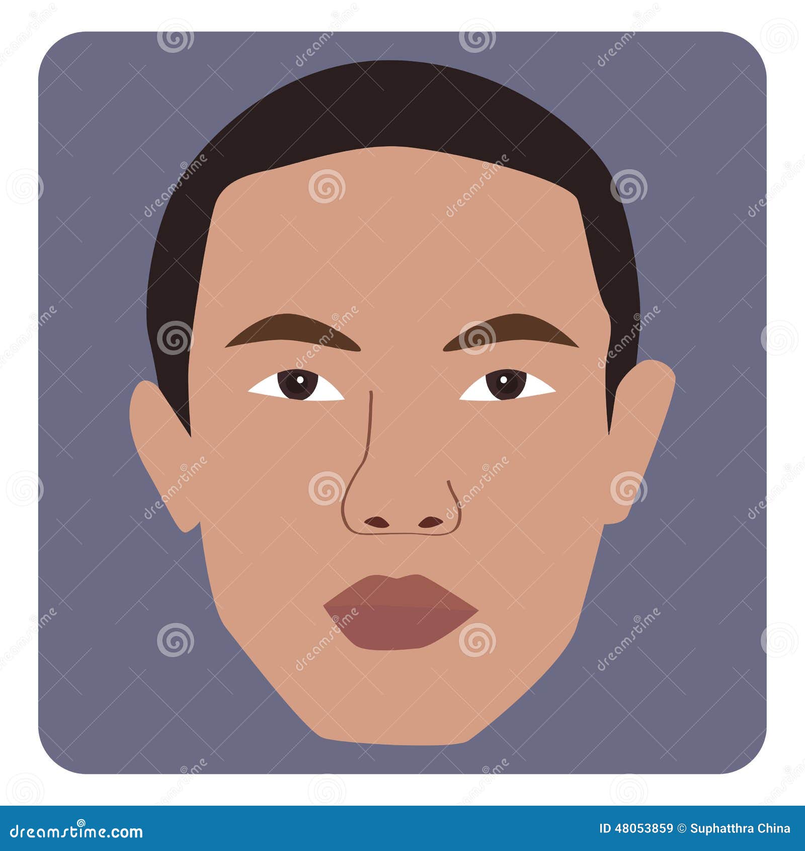 Man Face 5 stock vector. Illustration of head, isolated - 48053859