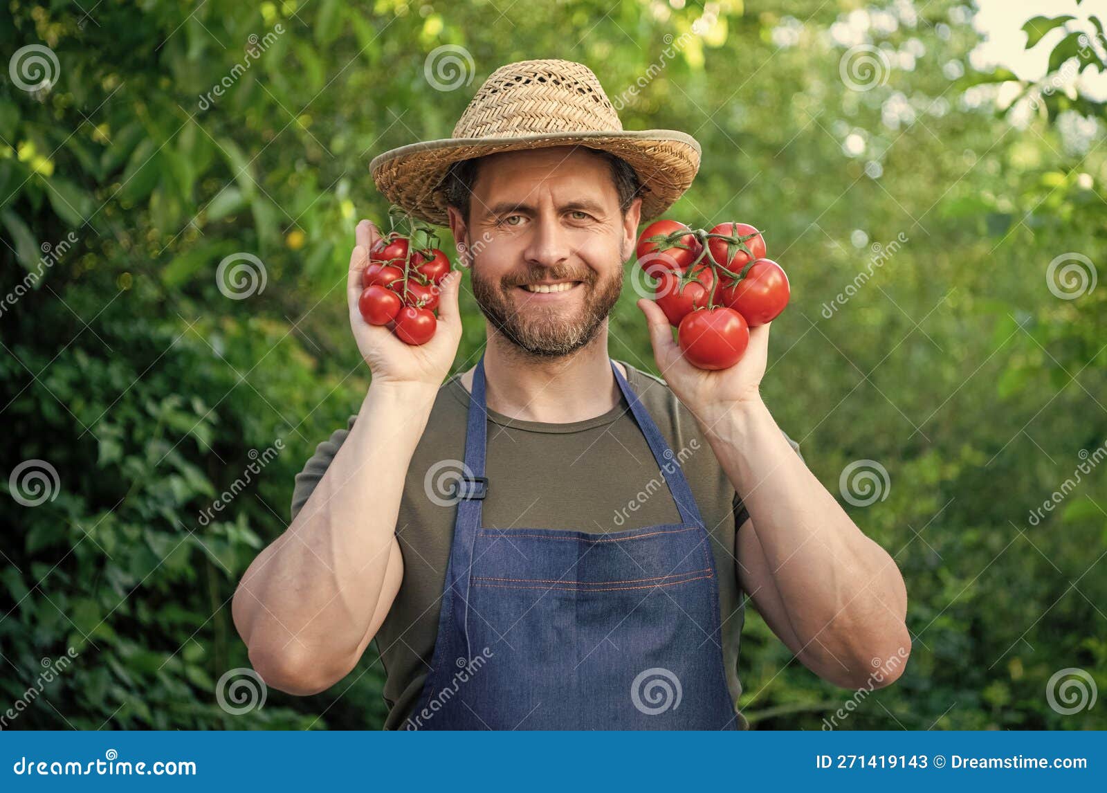 Man Farm Worker in Straw Hat with Tomato Bunch Stock Image - Image of ...