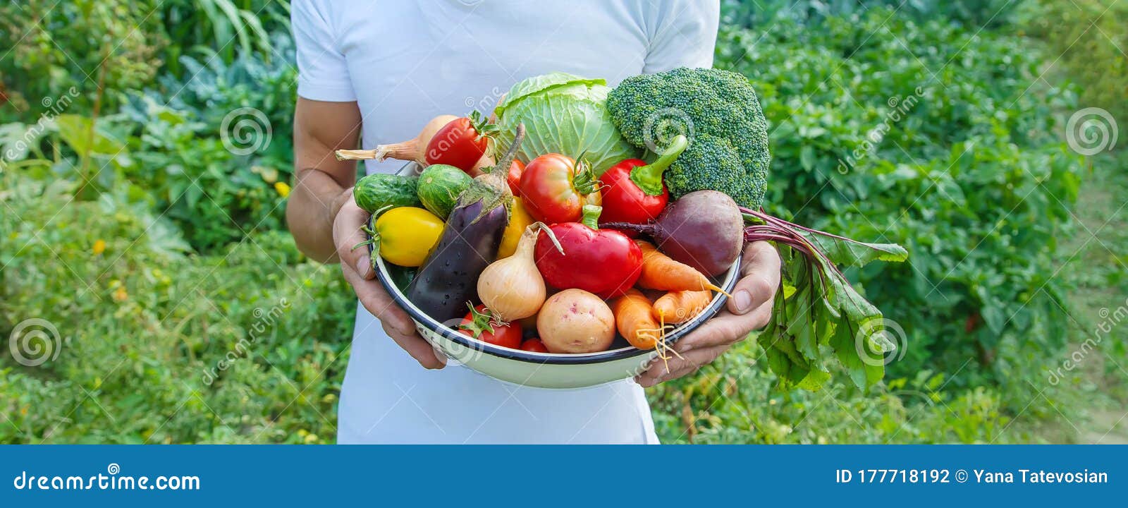 Man Farmer with Homemade Vegetables in His Hands. Selective Focus Stock ...