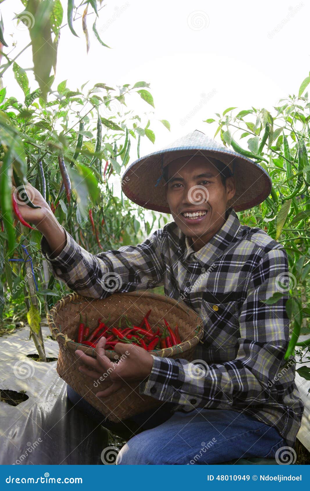 Man farmer stock image. Image of activity, fiery, detail - 48010949