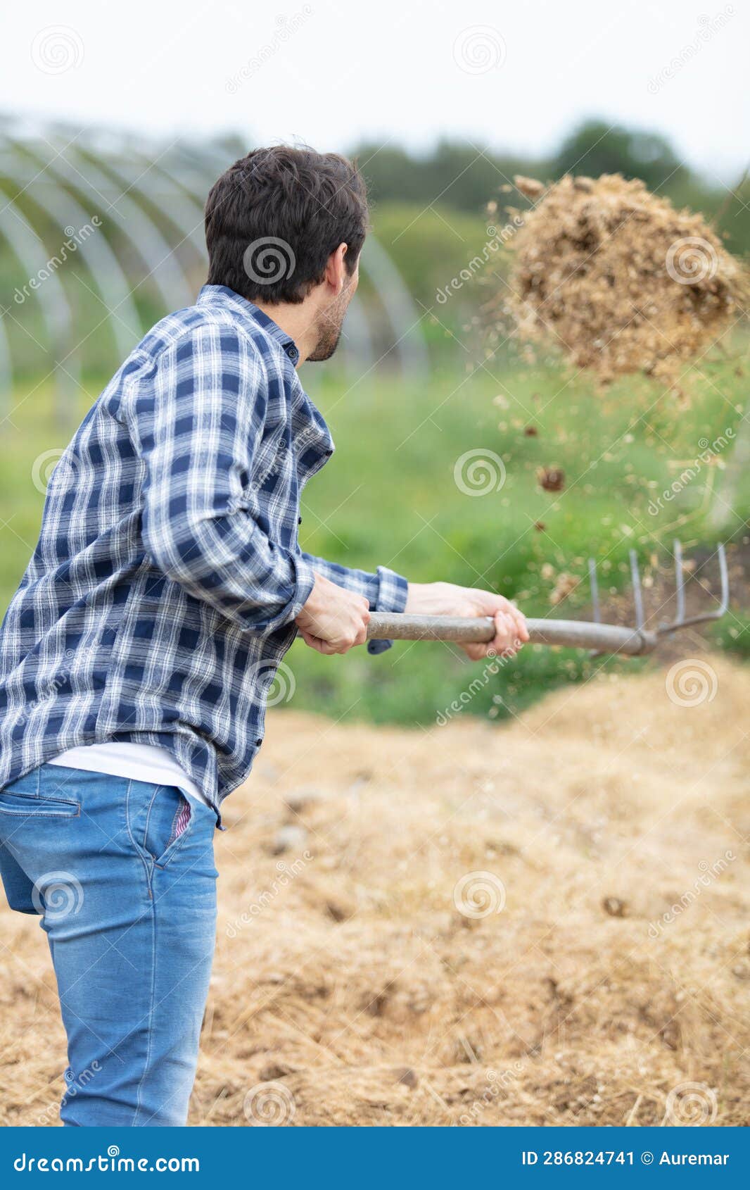 Man Farmer Turns Hay with Hay Fork Stock Image - Image of labor ...