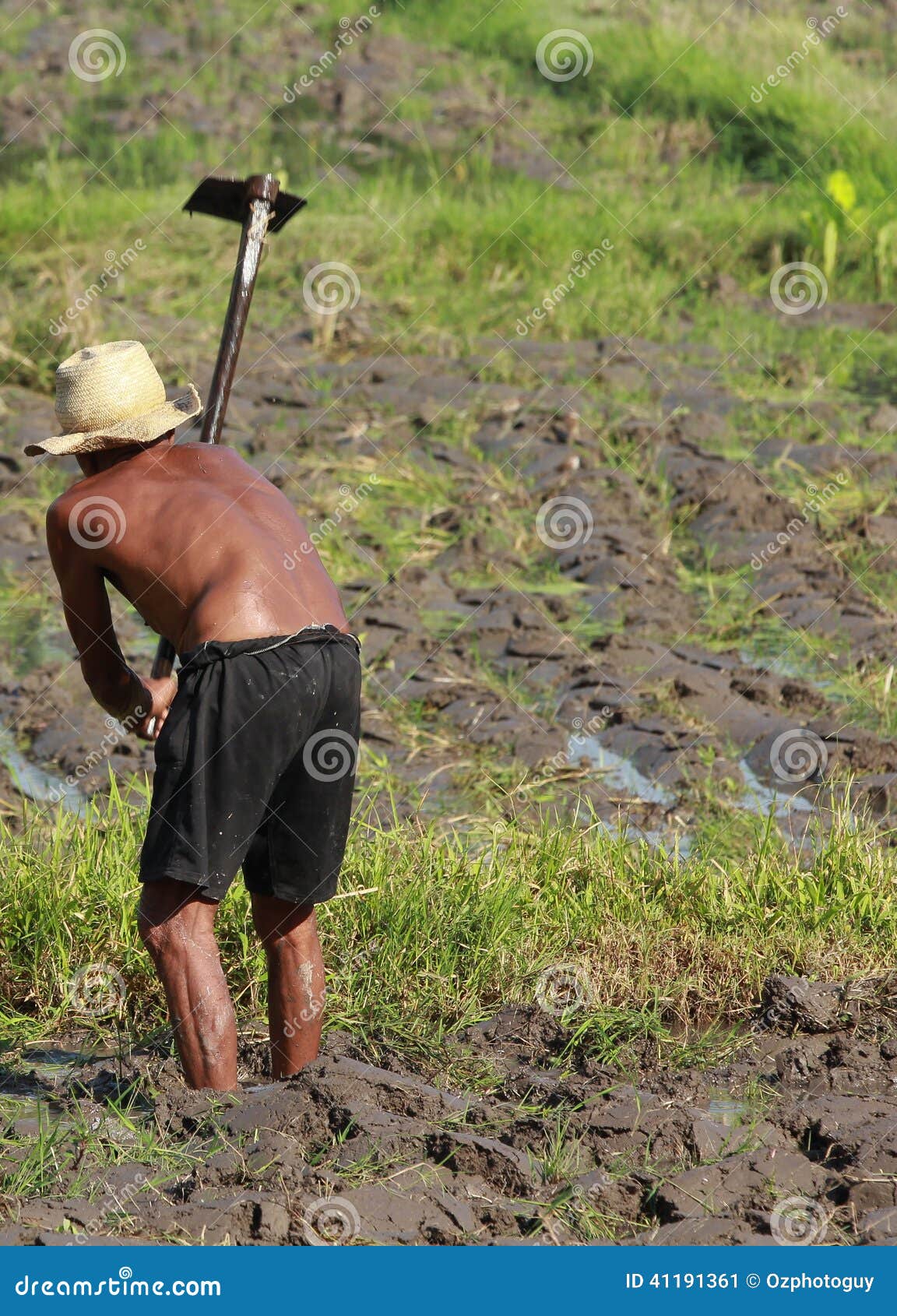 Man Farming editorial photo. Image of farm, life, agricultural - 41191361
