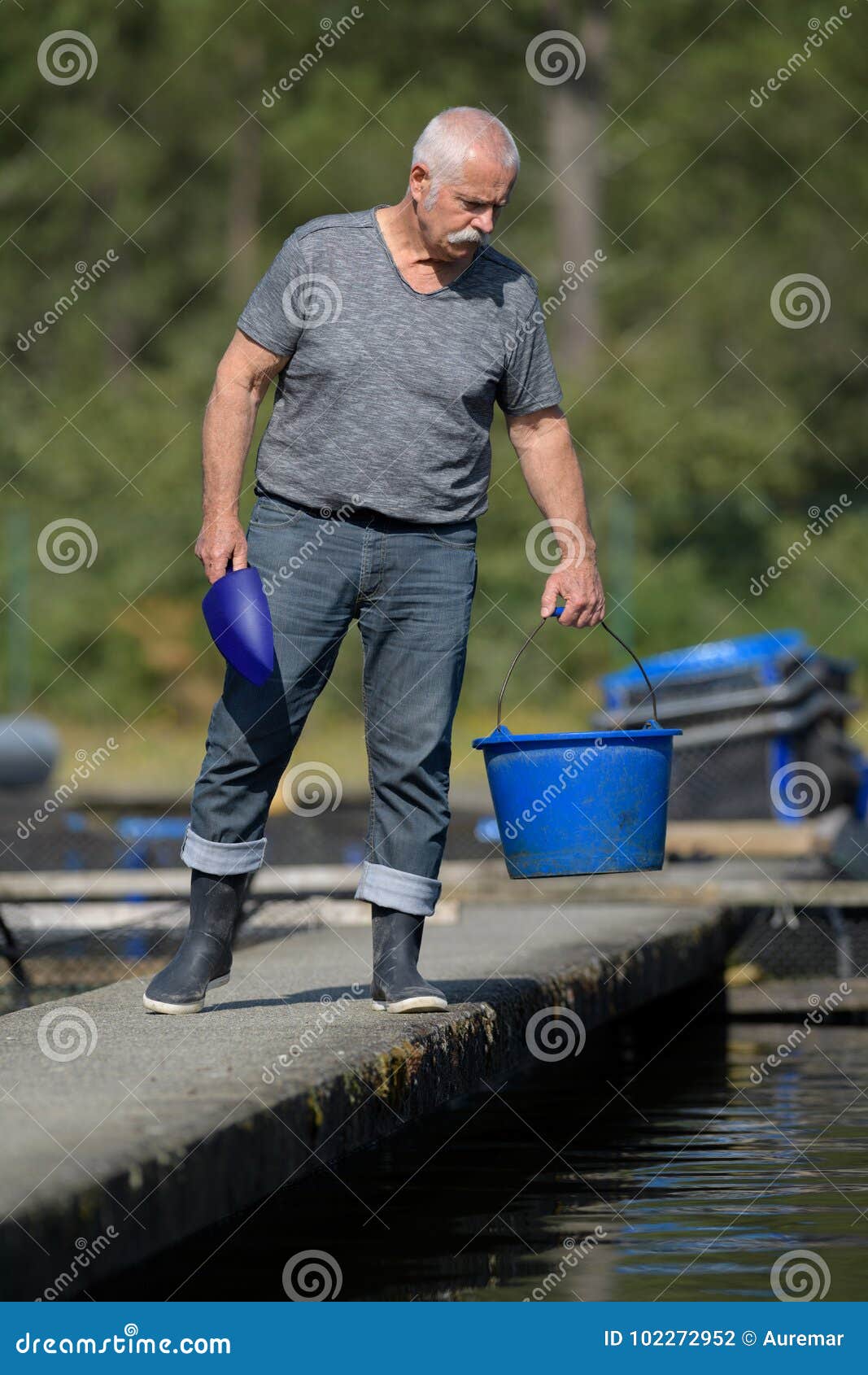 Man Feeding Fish in Red Sea Stock Photo - Image of summer, beak: 102272952