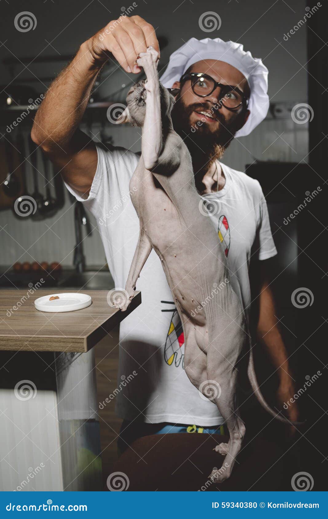 Man feeding hungry cat stock photo. Image of feeding - 59340380