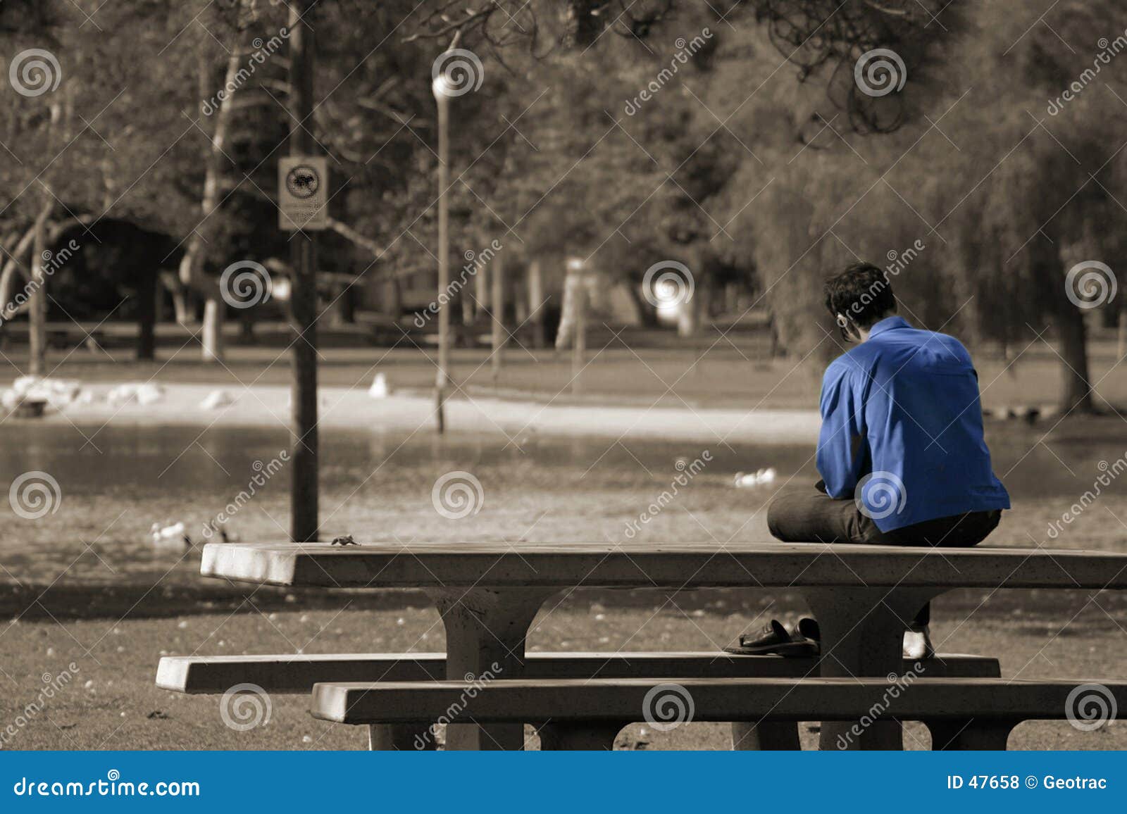 A man feeling blue stock photo. Image of bench, creek, park - 47658