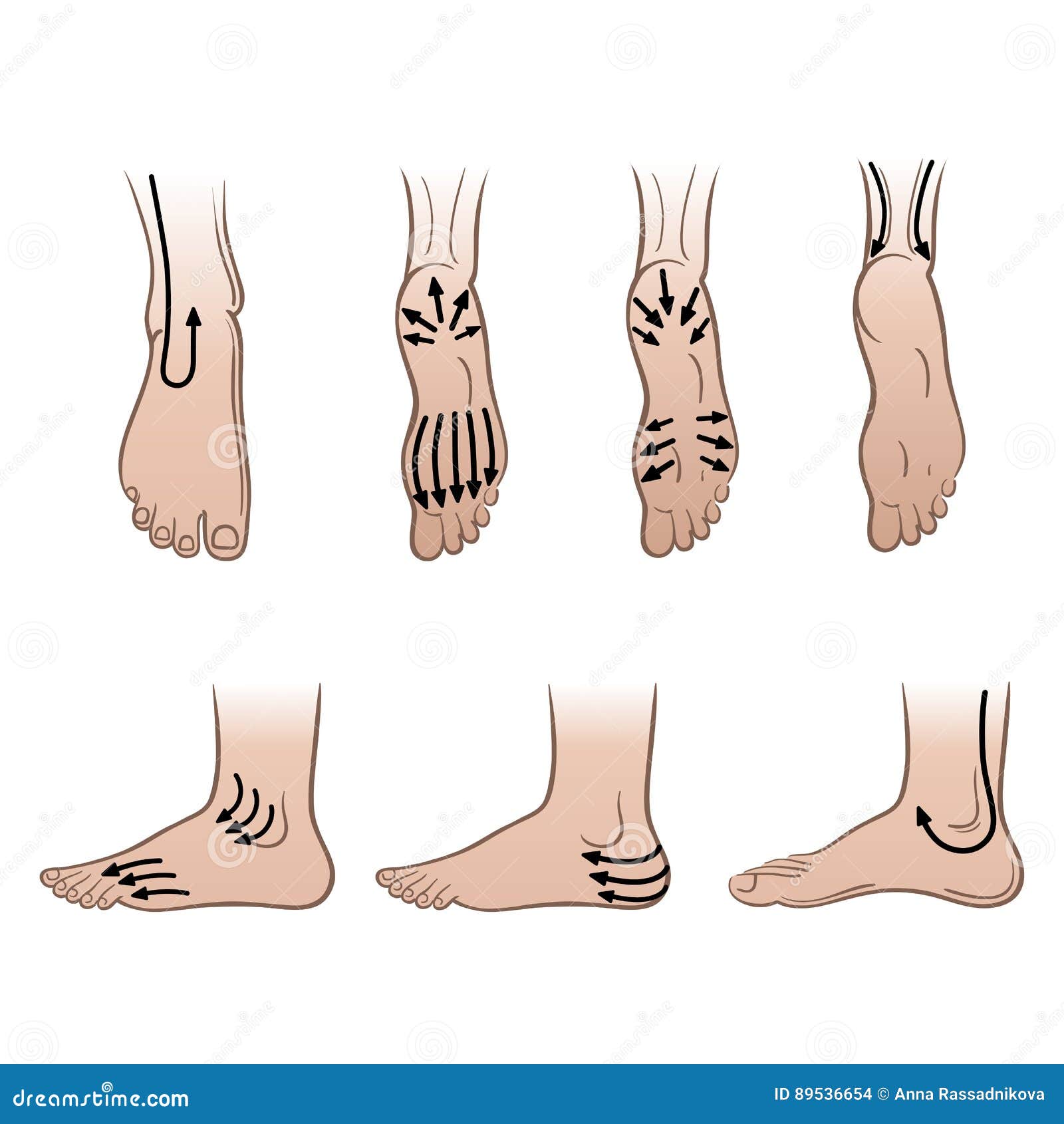 Man Feet with Massaging Lines Stock Vector - Illustration of back, foot ...