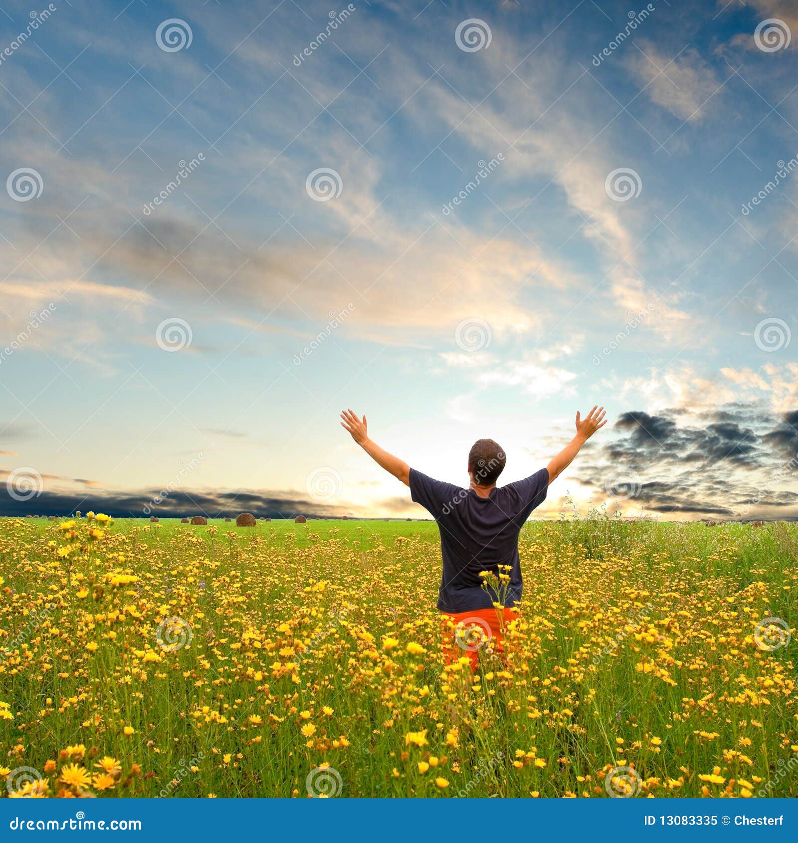 Man in field stock image. Image of hand, happy, blow - 13083335