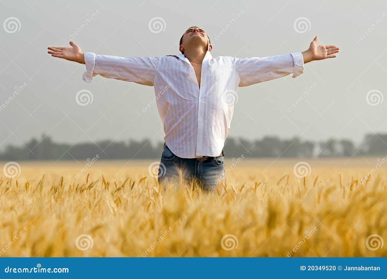 Man in field stock photo. Image of hands, landscape, growth - 20349520