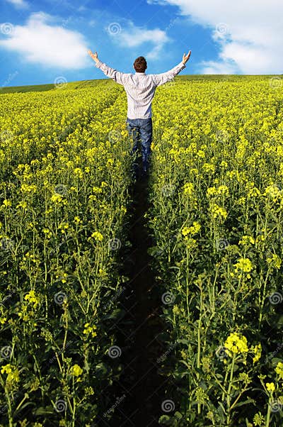 Man in Field stock photo. Image of farmland, landscape - 2233848