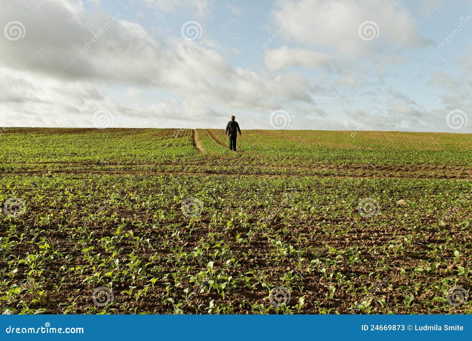 Man on the field. stock image. Image of landscape, adult - 24669873