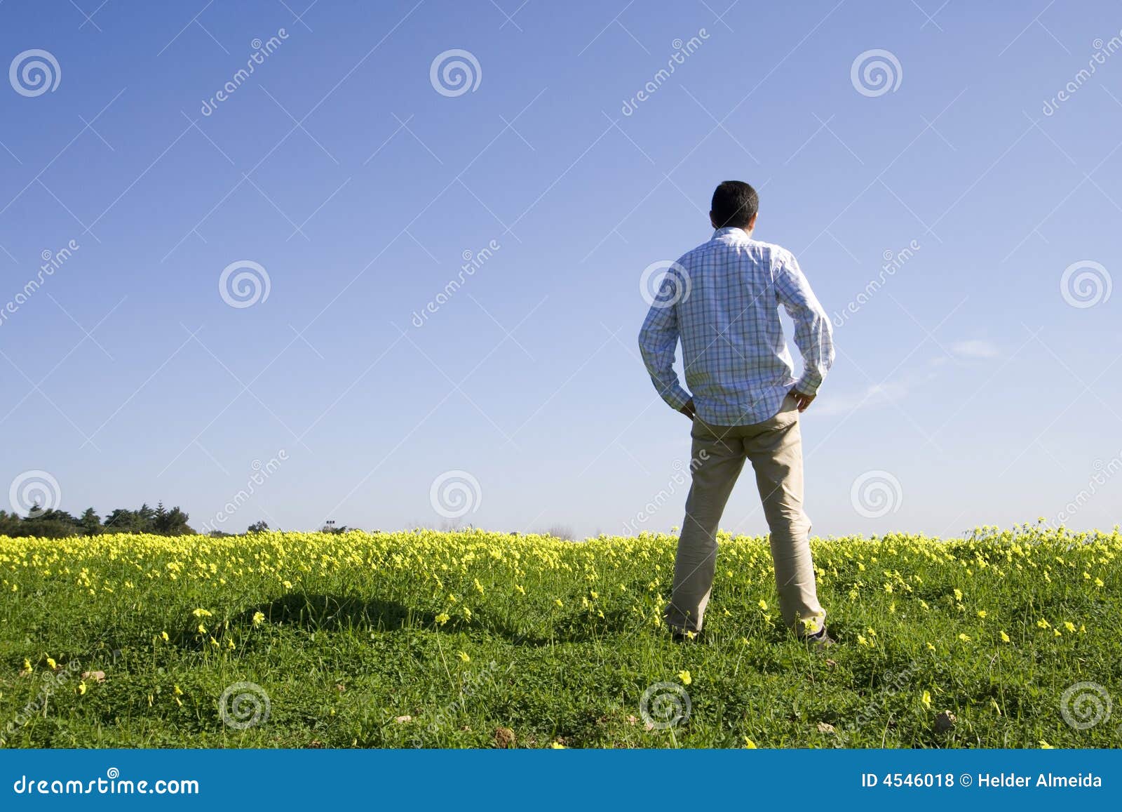 Man in field stock photo. Image of meadow, grass, alone - 4546018