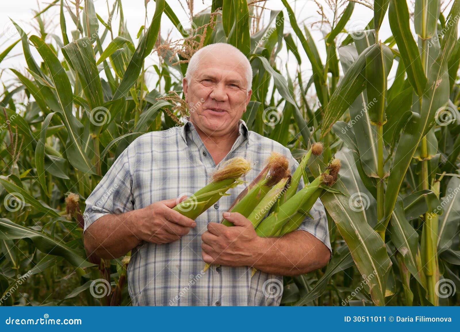 Man on field corn stock image. Image of outside, person - 30511011
