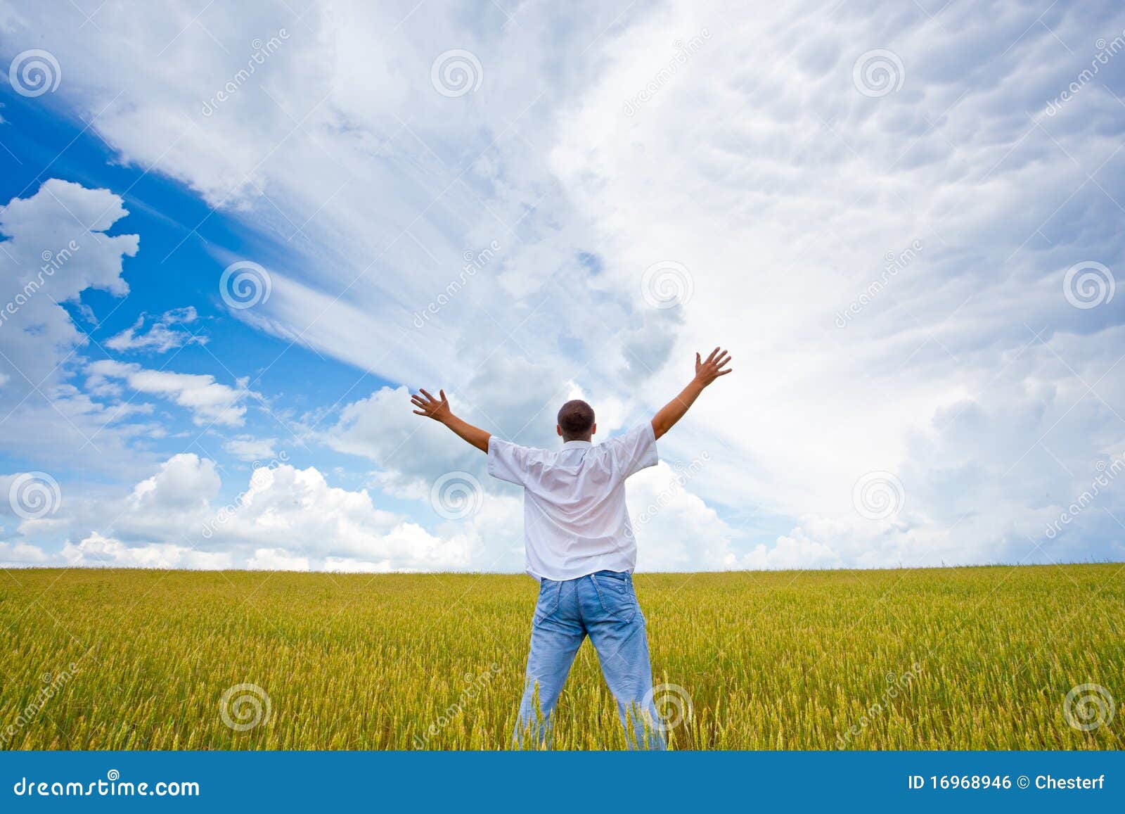 Man on field under skies stock photo. Image of clear - 16968946