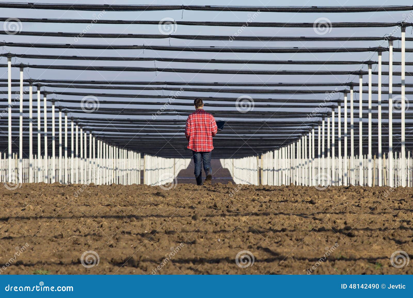 Man in field stock photo. Image of concept, column, farmer - 48142490