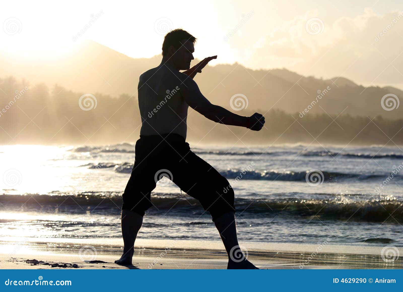 Man in Fight Position on the Beach Stock Photo - Image of vacation ...
