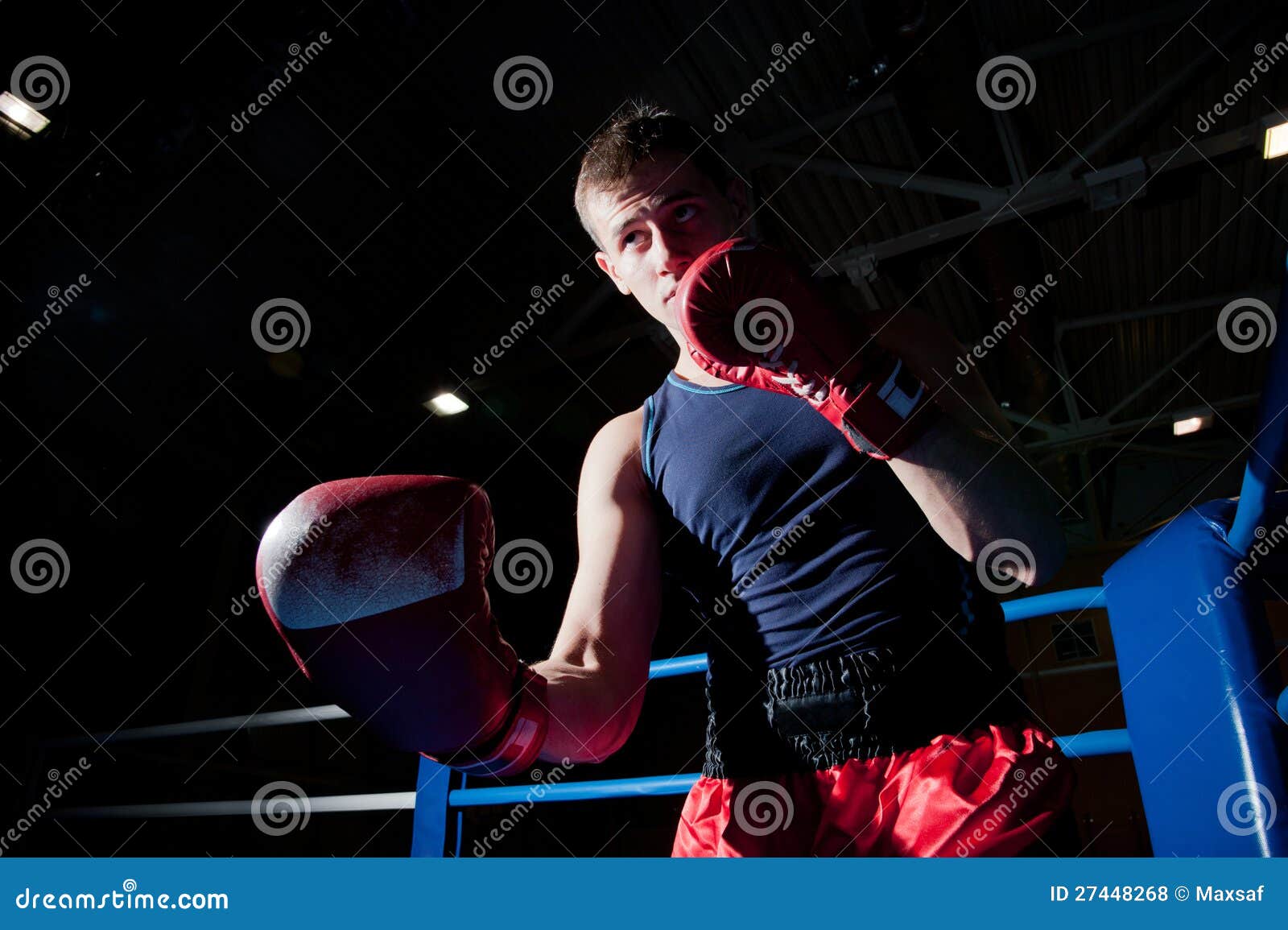 Man fighting on the ring stock photo. Image of aggressive - 27448268