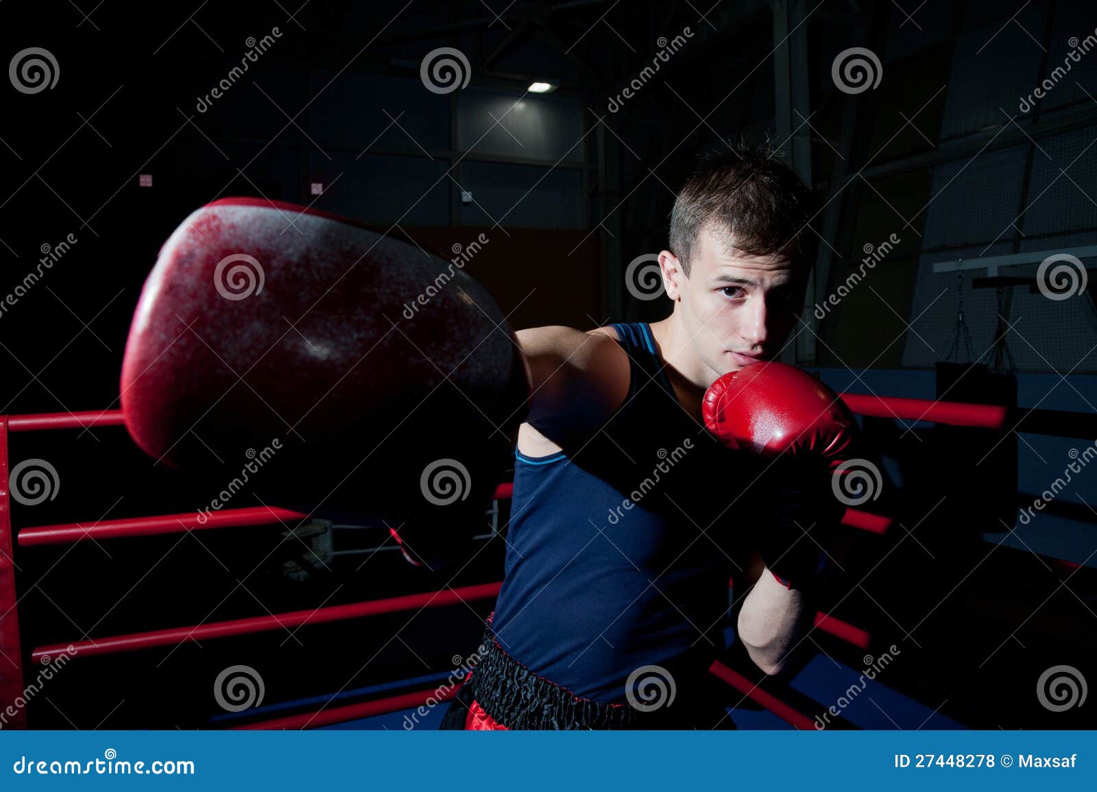 Man fighting on the ring stock photo. Image of hands - 27448278